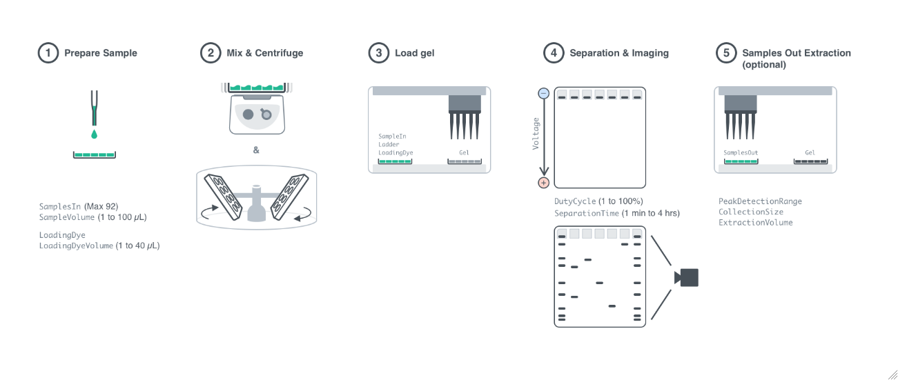 ExperimentAgaroseGelElectrophoresis Documentation