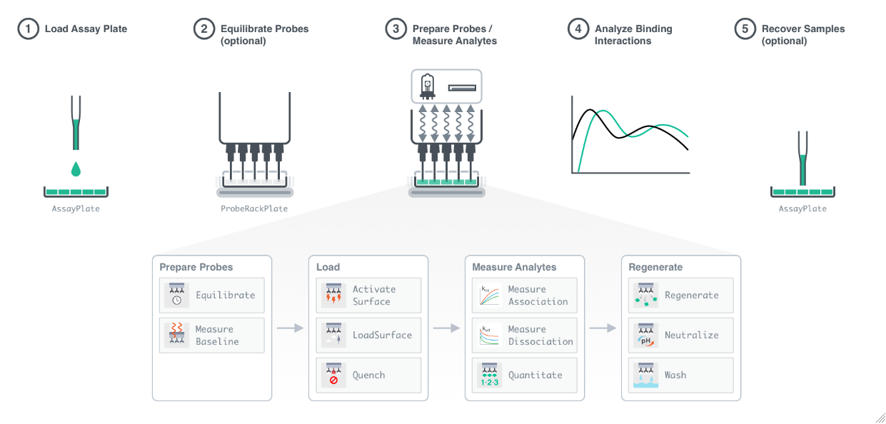ExperimentBioLayerInterferometry Documentation