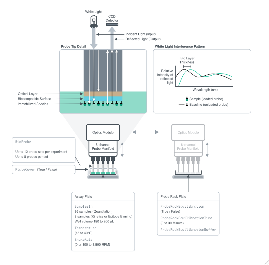 ExperimentBioLayerInterferometry Documentation