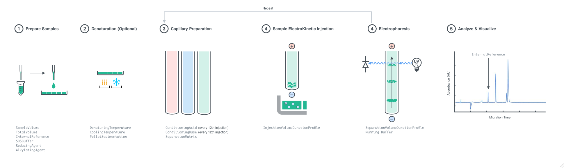 Sample Injection In Capillary Electrophoresis at Harold Chappell blog
