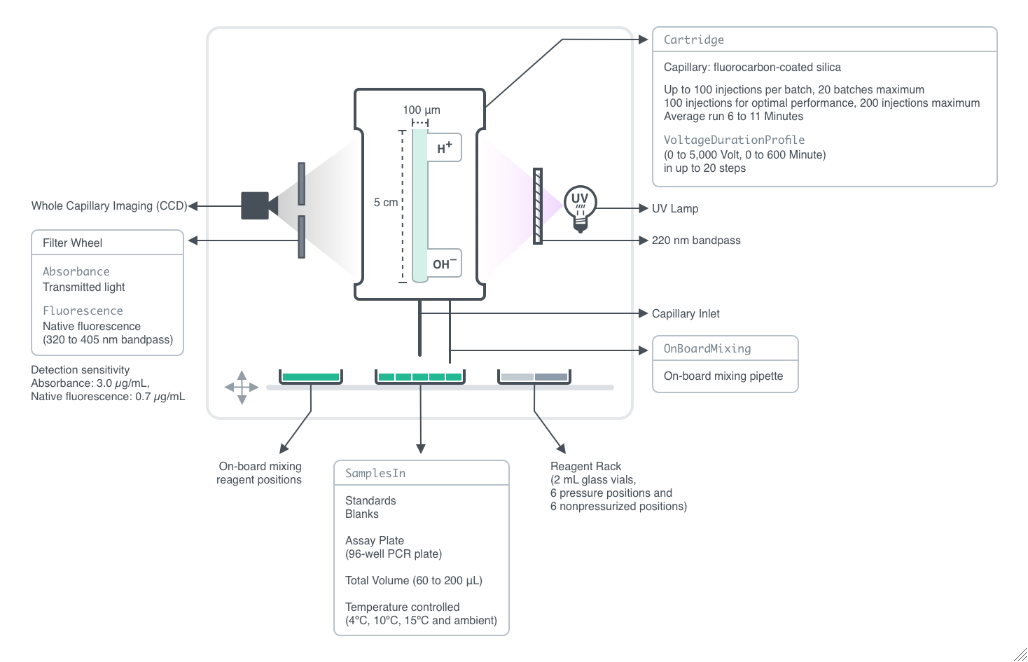 ExperimentCapillaryIsoelectricFocusing Documentation
