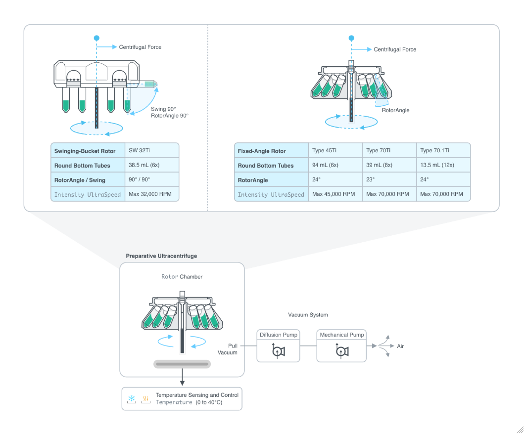 Centrifuge Experiments at Pam Calhoun blog