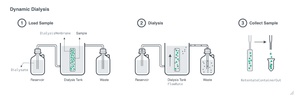 Dialysis Tubing Diffusion
