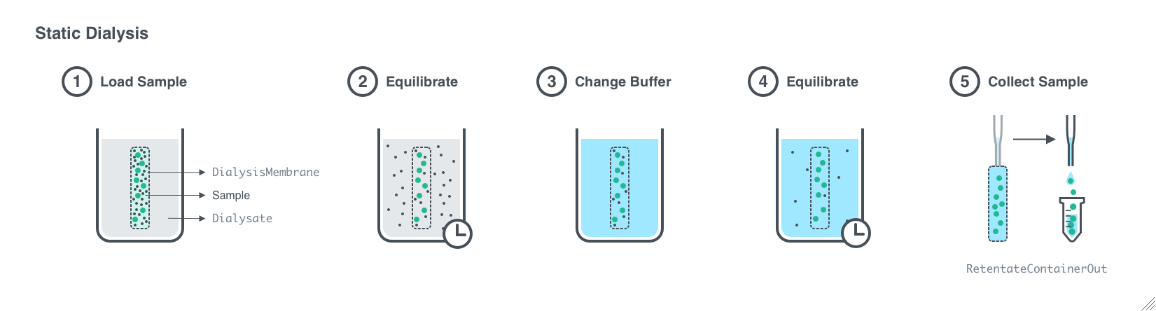 Dialysis Tubing Diffusion