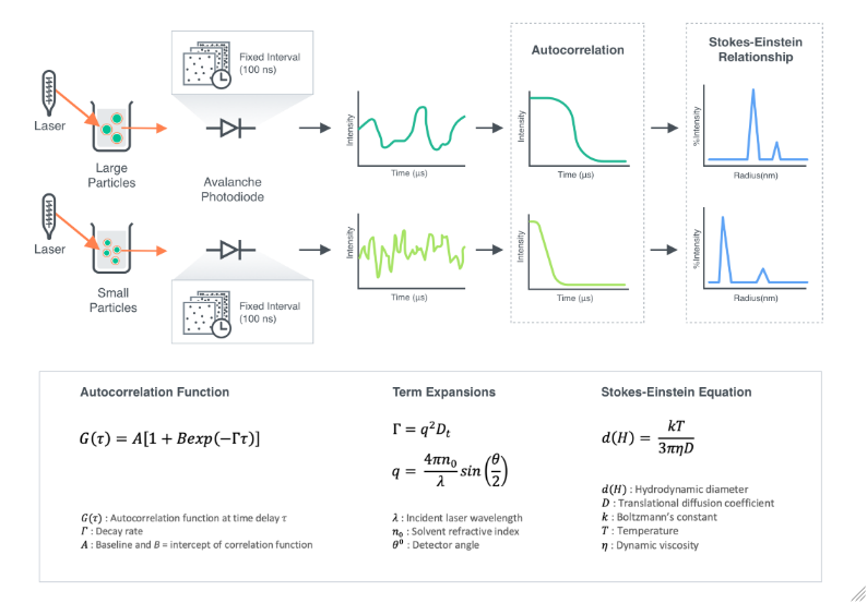 ExperimentDynamicLightScattering Documentation
