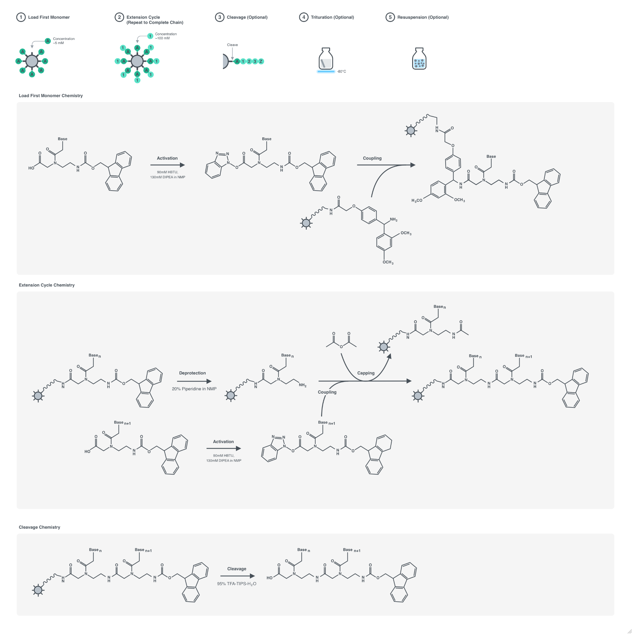ExperimentPNASynthesis Documentation