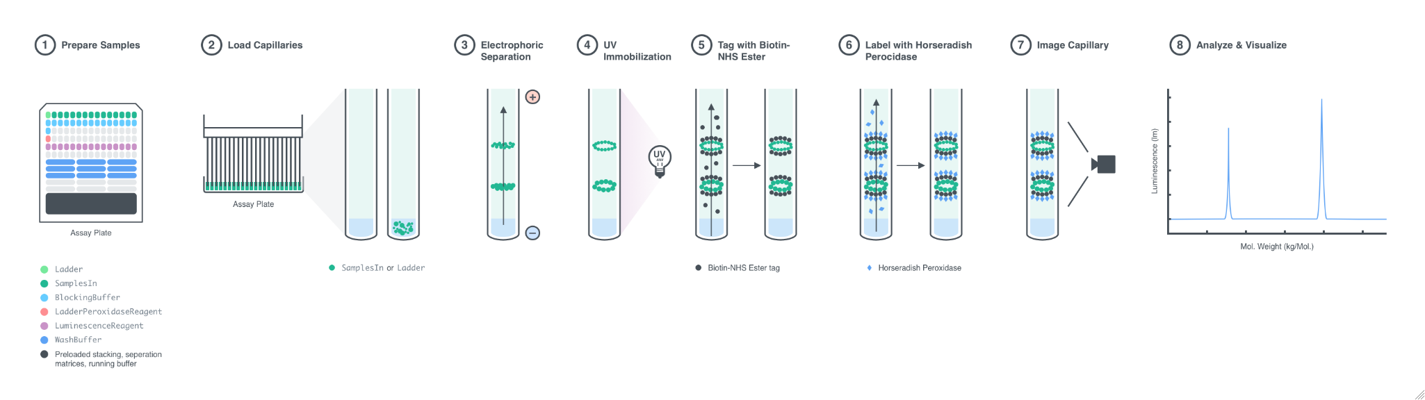 ExperimentTotalProteinDetection Documentation