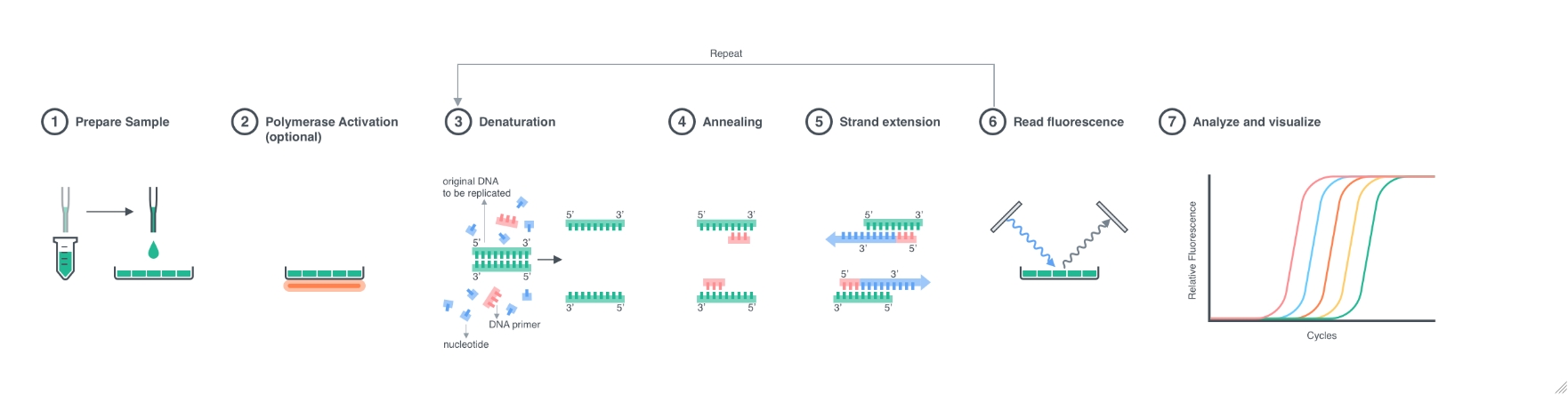 ExperimentqPCR Documentation