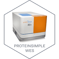 Absorbance-based fraction collection methods